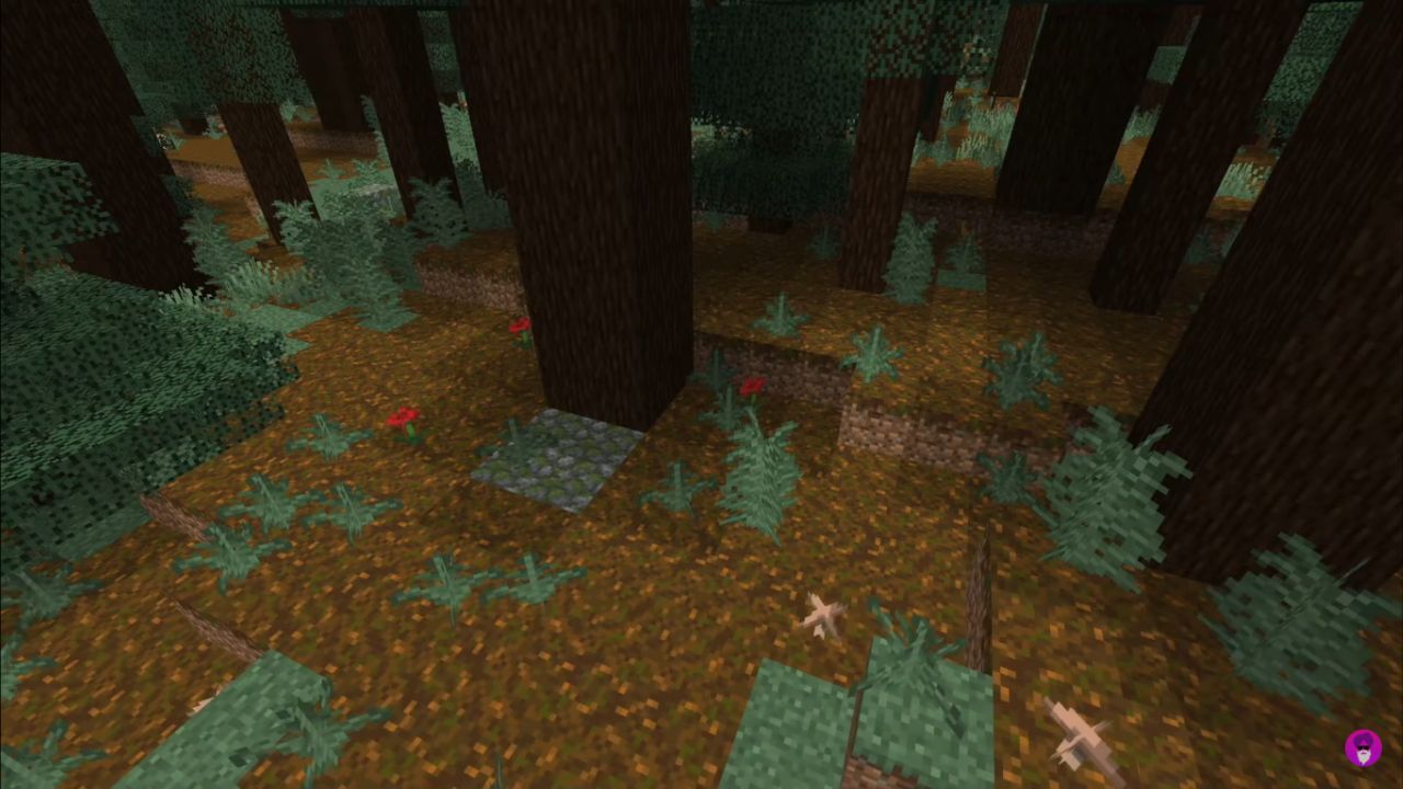 Minecraft: How to Mine Podzol [Step by Step Guide]