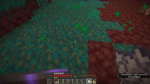 Minecraft: How to Craft Warped Nylium [Simple Guide]